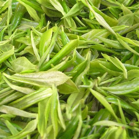 차마시는남자 Cmns 보이차입고 이번에 직접 시음 해보고 통관을 요청한 차가 도착했습니다 이기곡장 이란 회사는 중국 경곡지역 에서 채엽한 원료로 보이차와