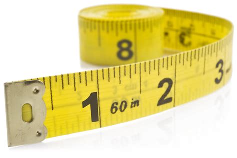 Penis Politics Sex Size And Stereotypes In The Gay Community