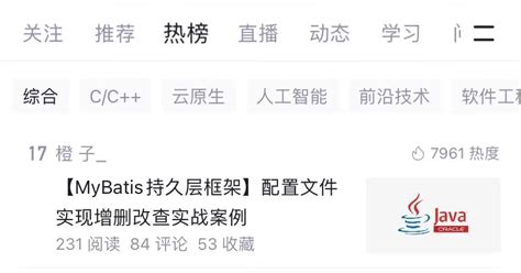【mybatis持久层框架】配置文件实现增删改查实战案例（下） 极客之音