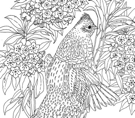 색칠 공부 어른 Ritsu Nakanishis Blog