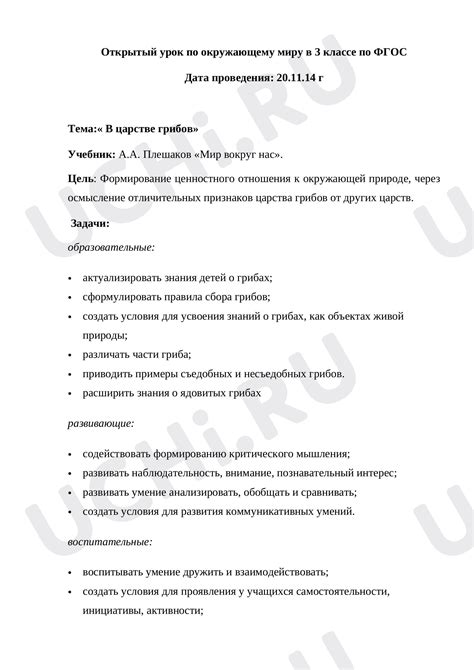 🟥 Заметки для презентации №27 по теме “План урока окружающего мира по теме В царстве грибов
