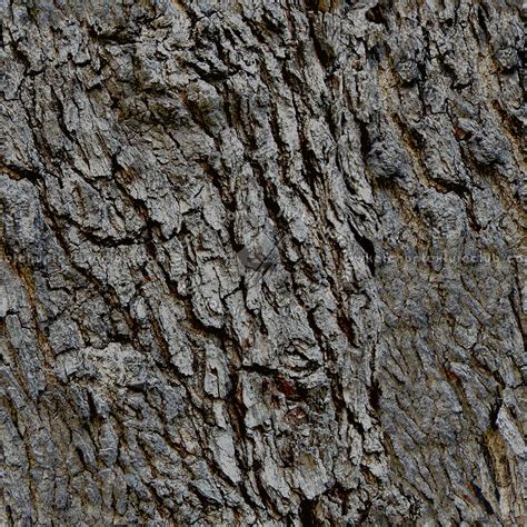 Bark Textures Seamless