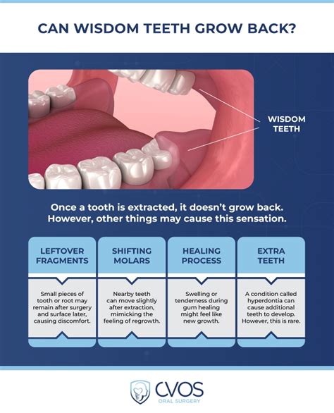 Can Wisdom Teeth Grow Back After Theyve Been Removed