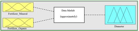 Fuzzy Rule Based System For Determining Radish Root Diameter Source Download Scientific