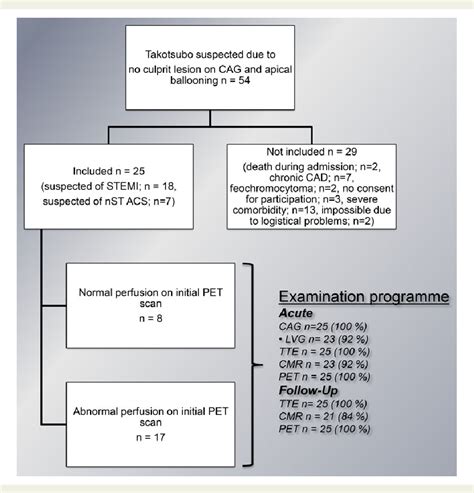Figure 1 From Basal Hyperaemia Is The Primary Abnormality Of Perfusion