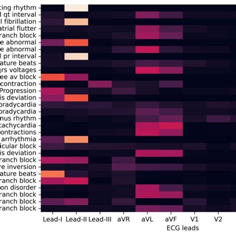 Aggregated Results From The Class Activation Maps Provided By The Lime Download Scientific