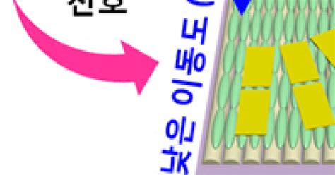 국내 연구진 액정 물질 특성 이용 유기 반도체 기반 트랜지스터 개발