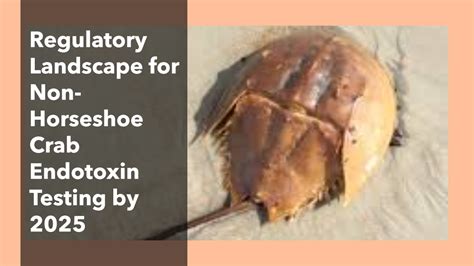 The Future Of Endotoxin Testing Regulatory Prospects And Innovative Methods By 2025 🌐