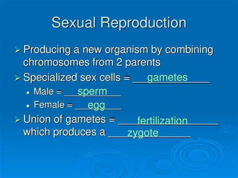 Sexual Reproduction And Meiosis Ppt Download