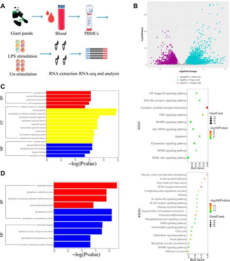 Comparative Transcriptome Analyses Of Immune Responses To Lps In