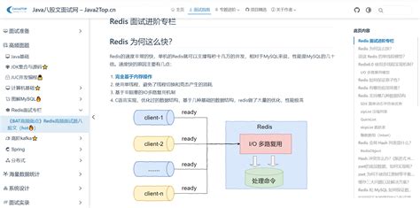 开源了！最强原创图解八股文面试网来袭java八股网站 Csdn博客