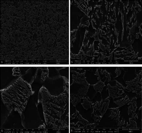 Ferrite Pearlite Microstructure Under Sem Download Scientific Diagram