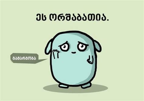 ნინო ყაველაშვილი On Linkedin ️