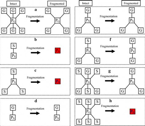 Schematic Representation Of Effects Of Habitat Fragmentation On