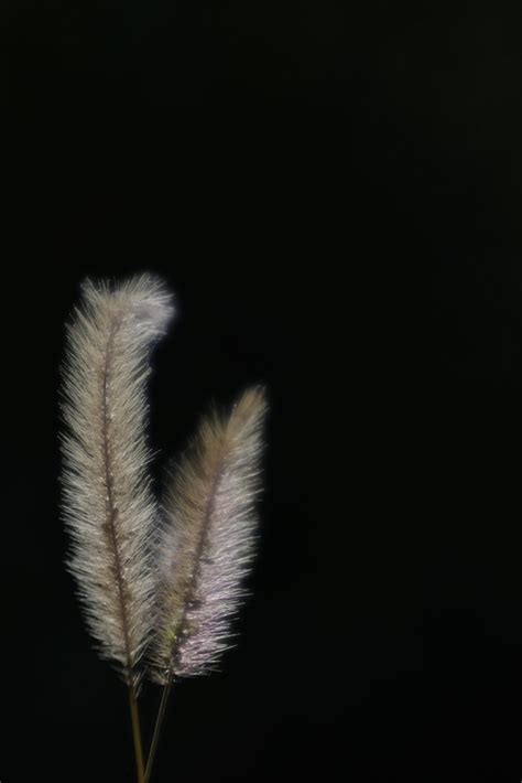 유토이미지 가을