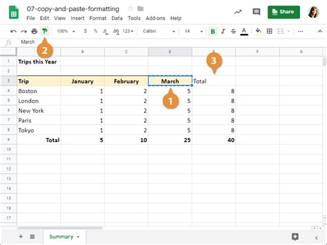 Copy Formatting Customguide