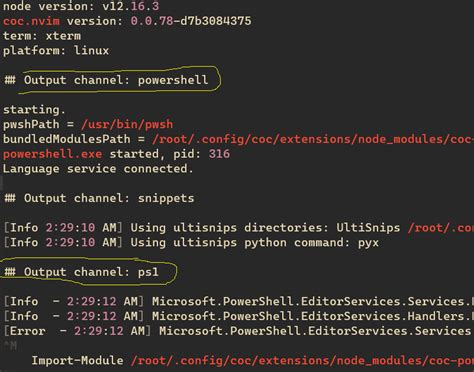 Linting Diagnostics Doesnt Work · Issue 99 · Coc Extensionscoc