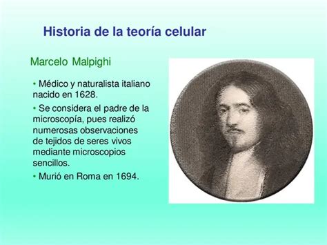 Historia De La TeorÍa Celular Octavo Basico Naturales Profesocial