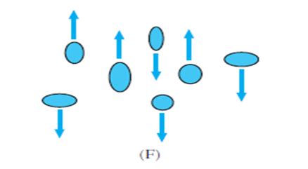What Is Perception And Its Core Approaches As Per Different Psychologist