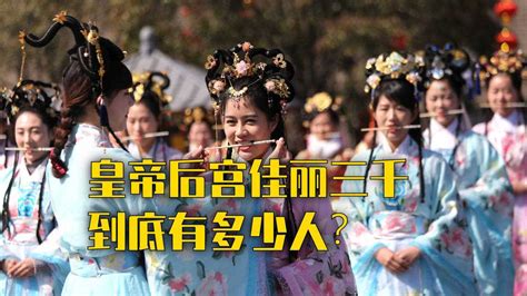 皇帝后宫佳丽三千到底有多少人呢 高清1080P在线观看平台 腾讯视频