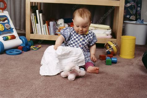 Object Permanence 3 Of 3 Stock Image C028 0217 Science Photo Library