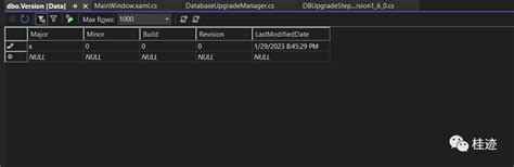 WPF 26 开发简单数据库版本控制引擎 董川民