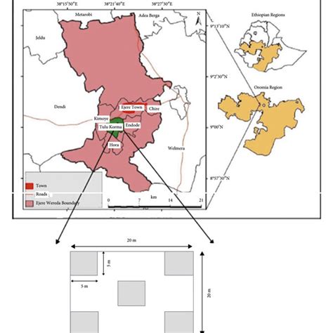 Representative Population Structure Patterns Of Woody Plant Species In