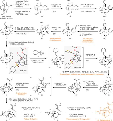 Asymmetric Total Synthesis Of Yuzurimine Type Daphniphyllum Alkaloid