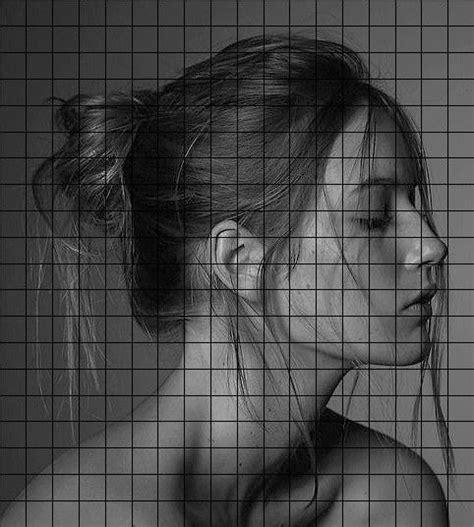 drawing grid line drawing grid grid lines reference