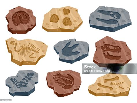 만화 고고학 화석 쥬라기 공룡 고대 동식물 화석 고생물학 파충류 발자국 조개 식물 및 뼈 플랫 벡터 일러스트 레이 션 세트