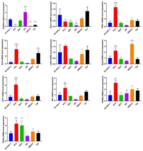 Molecular Subtypes Tumor Microenvironment Infiltration Characterization And Prognosis Model