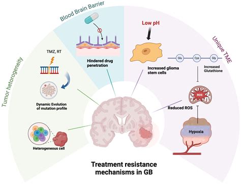 Microrobots Show Promise In Glioblastoma Treatment News Usa Today