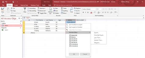 How To Search And Filter An Access 2019 Database Dummies