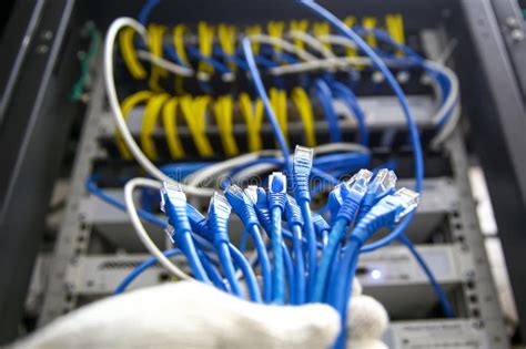 Hand Choose Lots Of Rj45 Utp Cat6 Lan Internet Network Cable Fiber