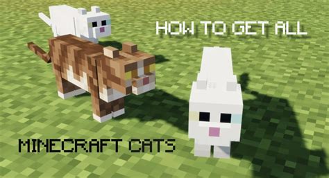 Cat With White Eyes Minecraft