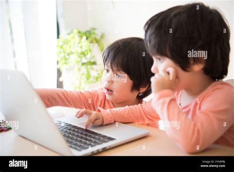 Twin Babes Operating A Computer Stock Photo Alamy