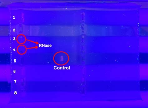 Pritam Das On Linkedin Hello Linkedin Community Recently We Had Done