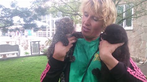 Леокадия и малыши леопарды Тайган Youtube