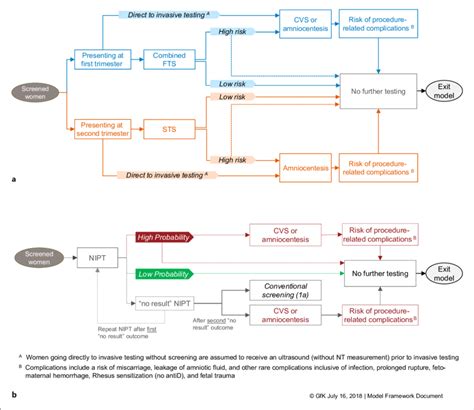 Patient Flow For Conventional Screening A And Primary Nipt Screening