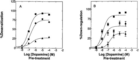 Dopamine Dose Response Curves For D 1 Receptor Desensitization And