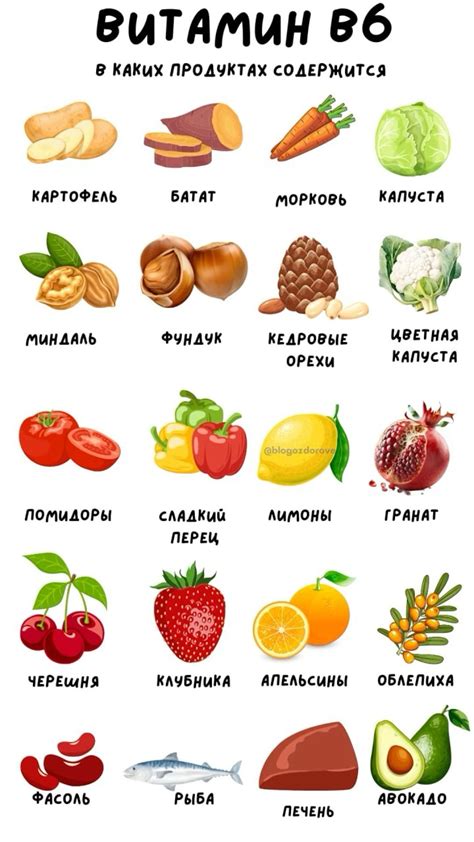 Витамин В6 в каких продуктах содержится Nel 2024 Alimenti
