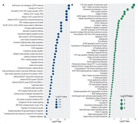 Figure Top Pp Cell Signaling Pathways Based On The Adjusted P Values