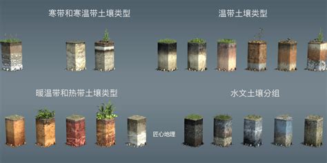 地理图片 土壤图集 土壤知识汇总 服务 答疑 建群