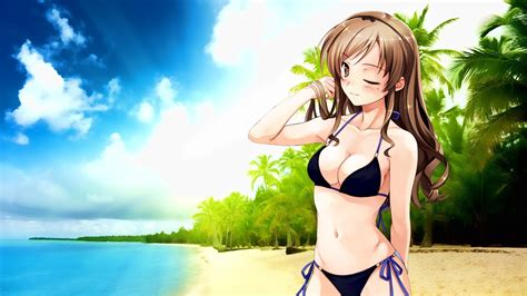 19 Anime Bikini Wallpapers Wallpaperboat