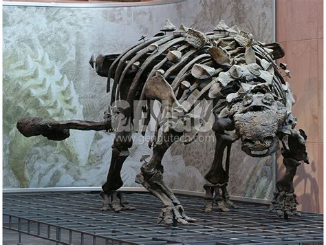Fiberglass Dinosaur Fossil
