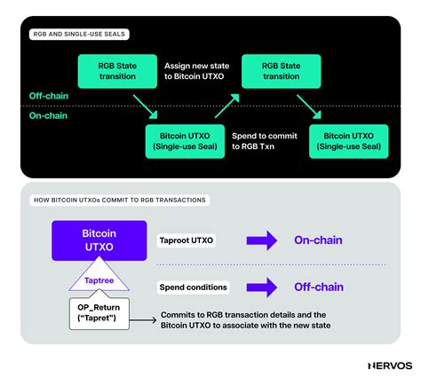 The Ultimate Guide To Bitcoin Layer 2s From Liquid Rootstock And