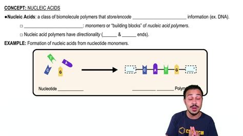 Nucleic Acids Examples