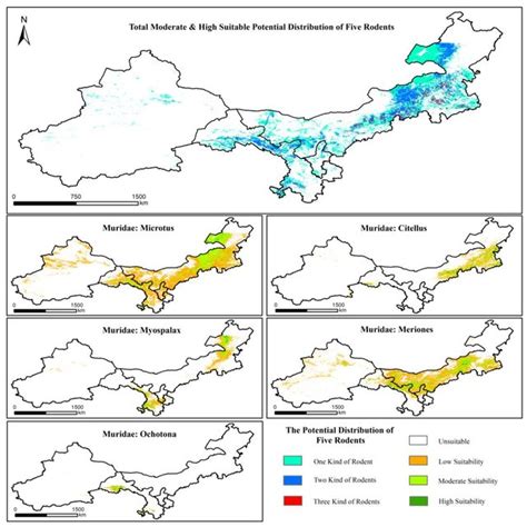 The Potential Spatial Distributions Of Suitable Environmental Download Scientific Diagram