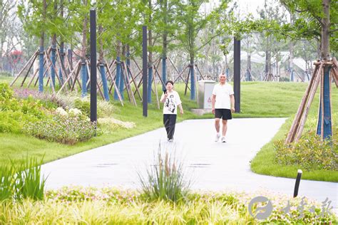 盐城市大丰区人民政府 图片资讯 市民在码头公园欣赏风景