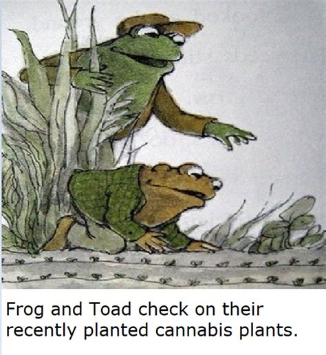 Haha Drugs Rfrogandtoadmemes